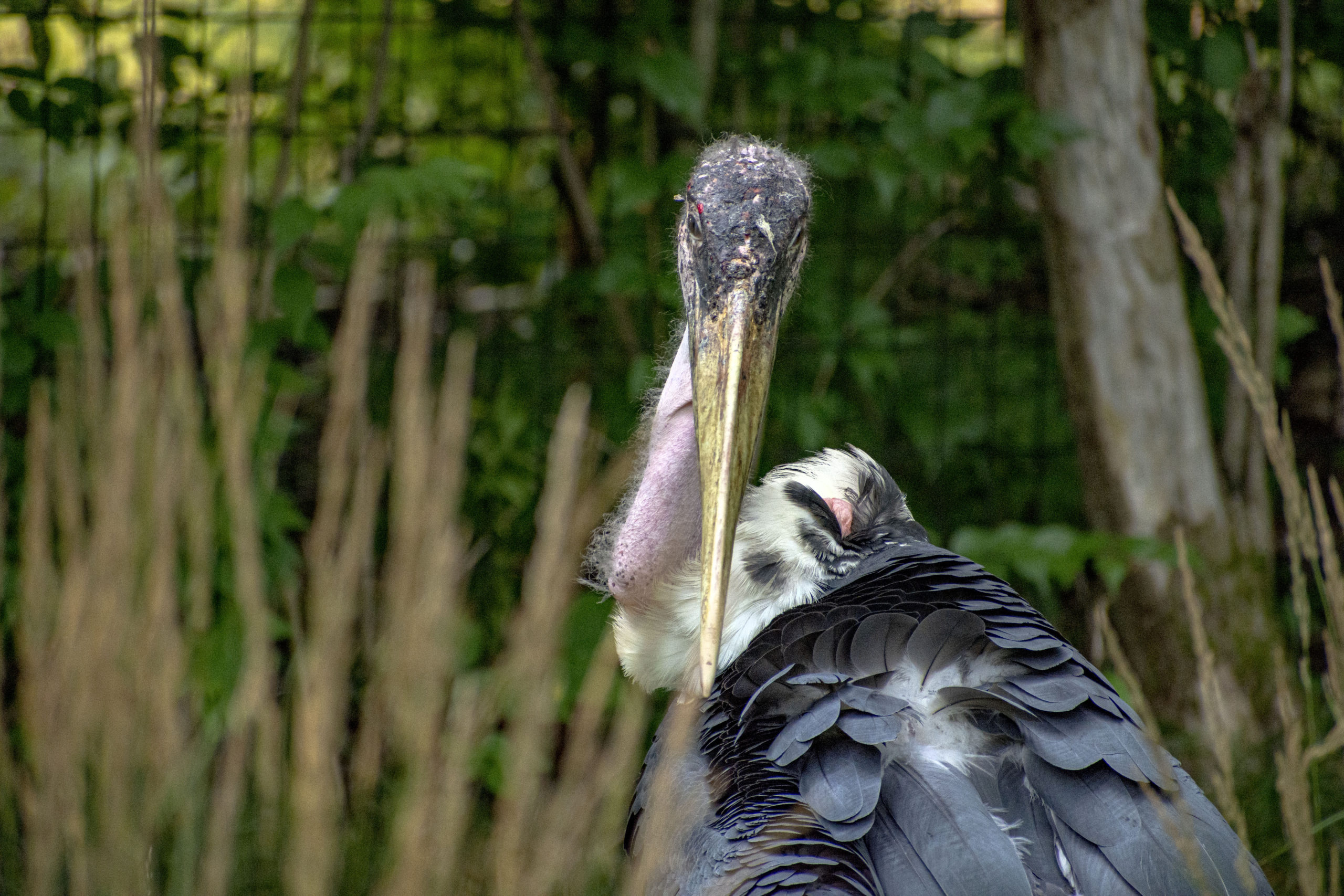 From Ethyl to Edgar | Blog | Fort Wayne Zoo