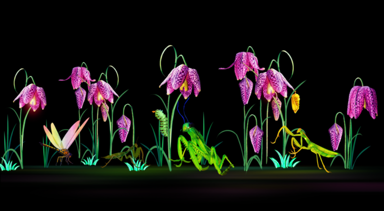 Glo Wild at the Fort Wayne Zoo | Fort Wayne Zoo