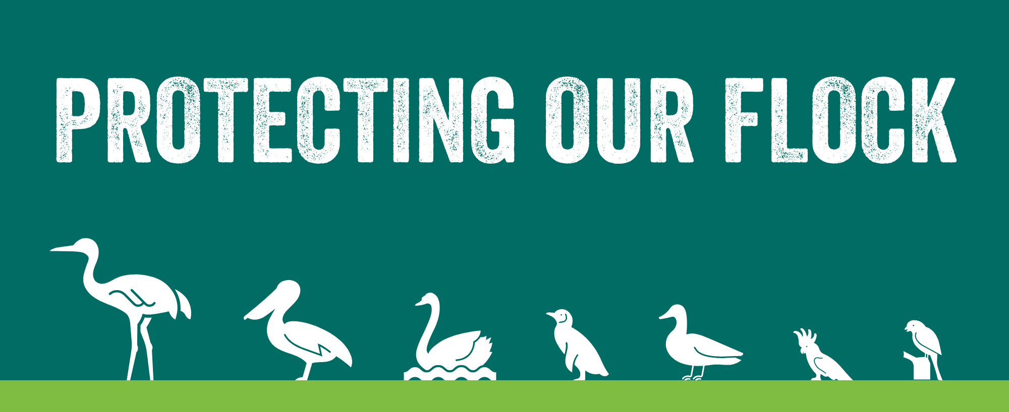 Protecting Our Flock | Blog | Fort Wayne Zoo