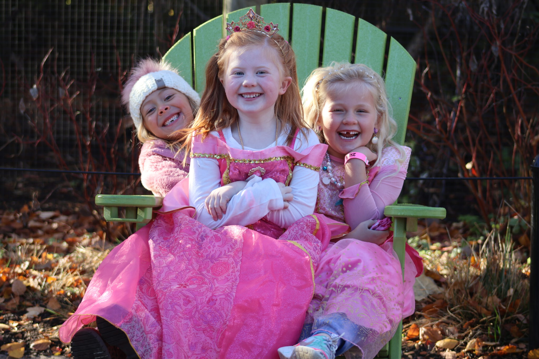 Princess Tea Party at the Fort Wayne Zoo | Events | Fort Wayne Zoo